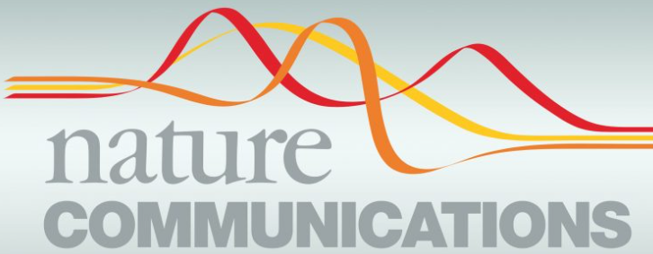 nature communication - Stiftung LebensBlicke